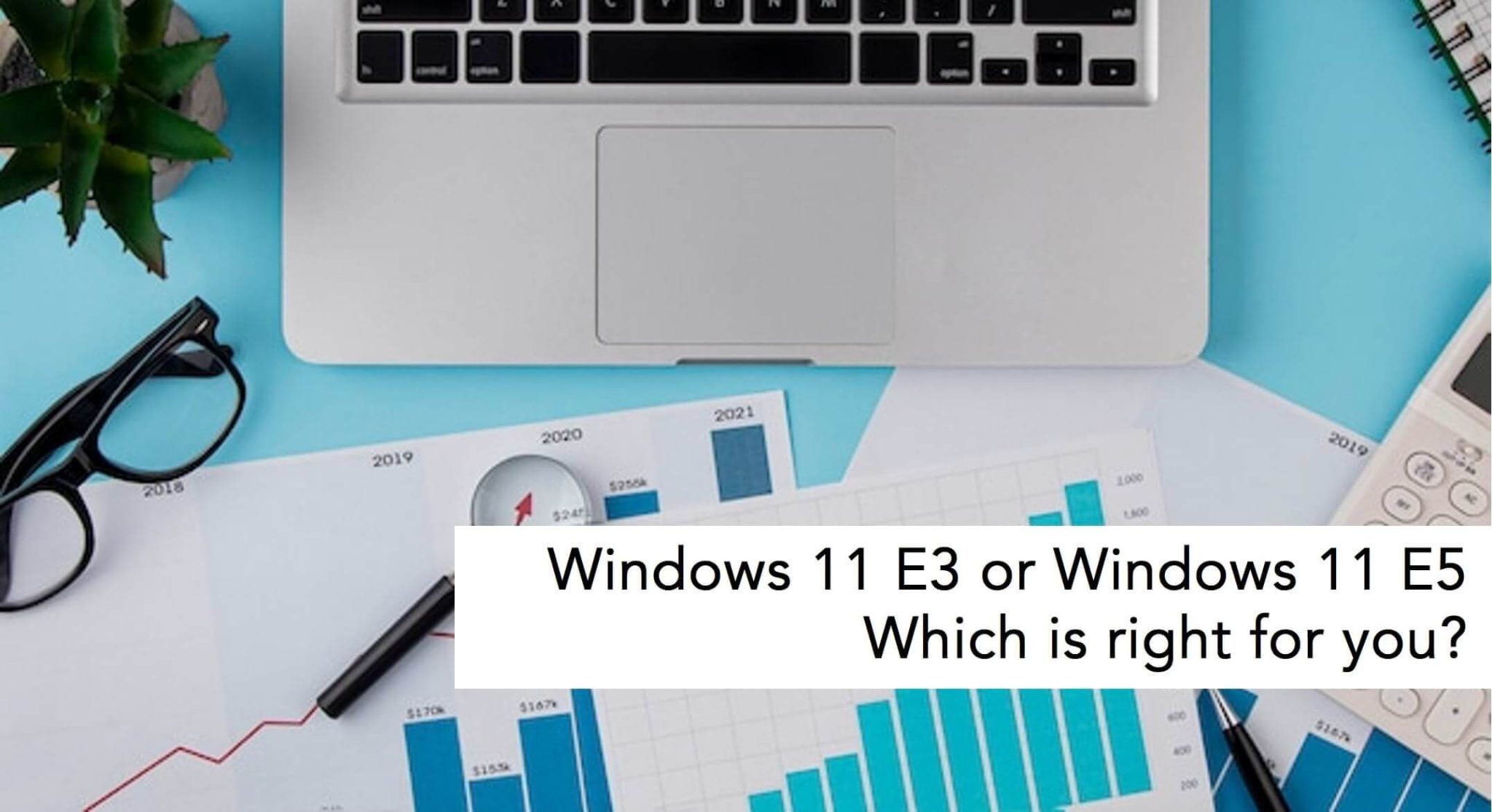 How to license Windows 11 for your Enterprise - LicenseQ